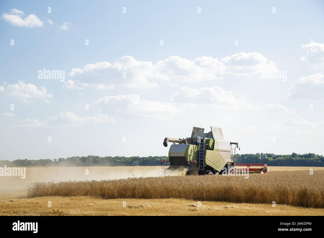 Working combine harvester in a wheat field on a sunny summer day ...