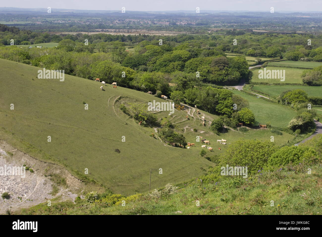Walking on Knowle Hill East Creech Dorset England Stock Photo - Alamy