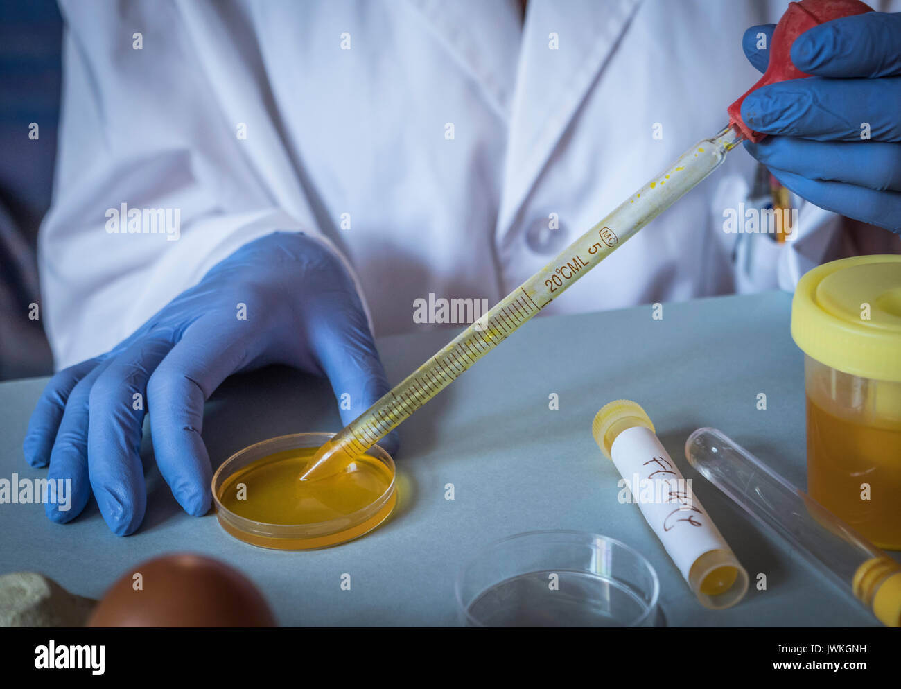 Scientist at laboratory investigates the crisis caused by the fraud of ...