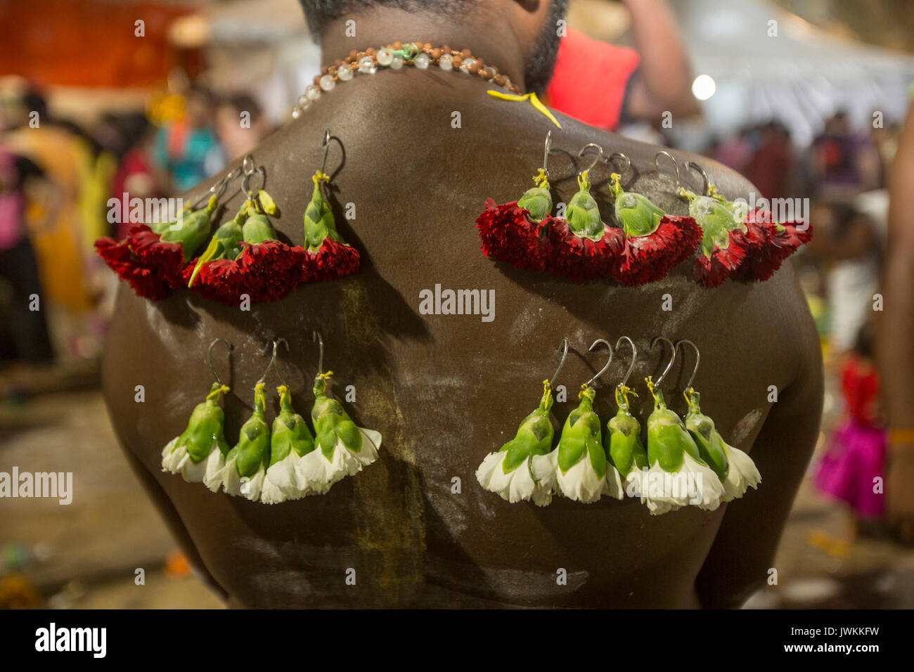 A Hindu worshipper wears carnations hooked into his skin as an act of ...