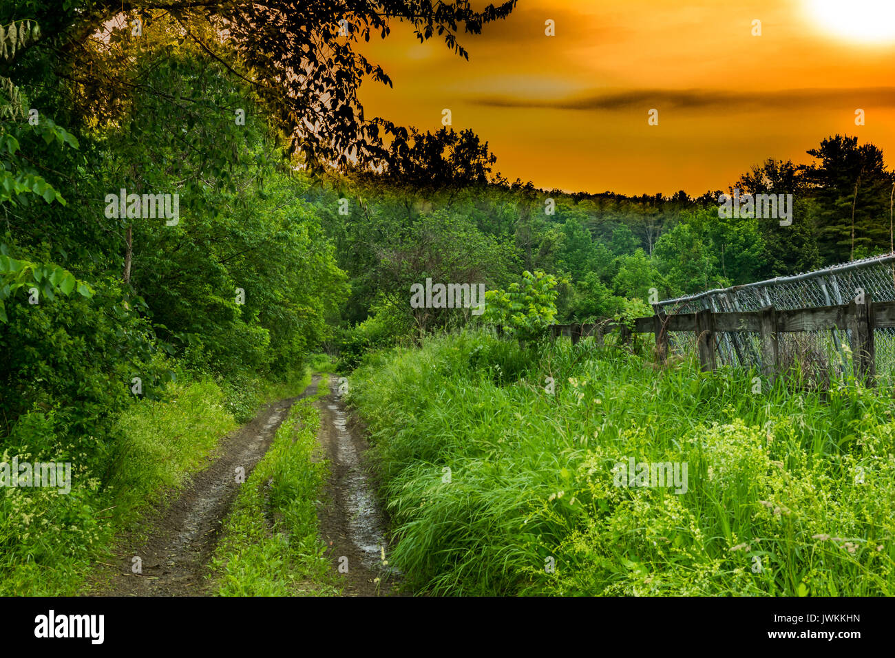Old farm road hi-res stock photography and images - Alamy
