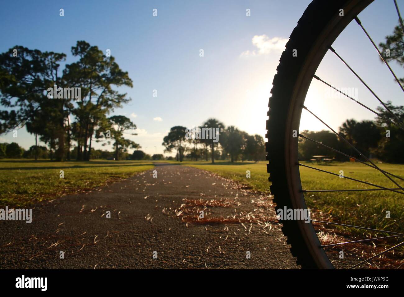 Sun Gleaming Behind Bicycle Tire on Concrete Trail Surrounded by Green ...