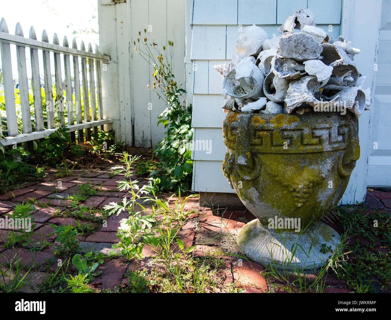 Garden Weeds Stock Photos & Garden Weeds Stock Images - Alamy