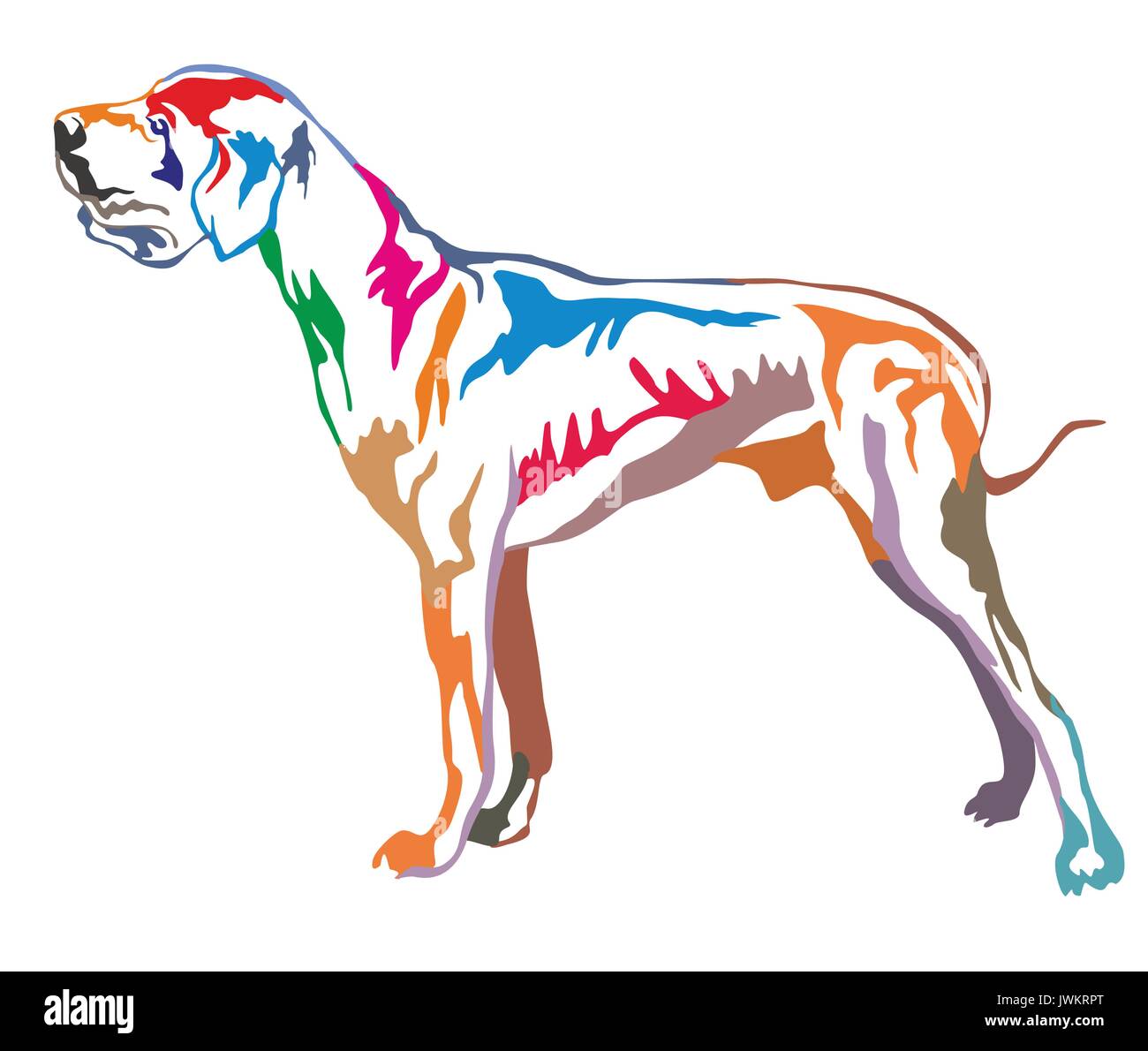 Portrait image adult great Cut Out Stock Images & Pictures - Alamy