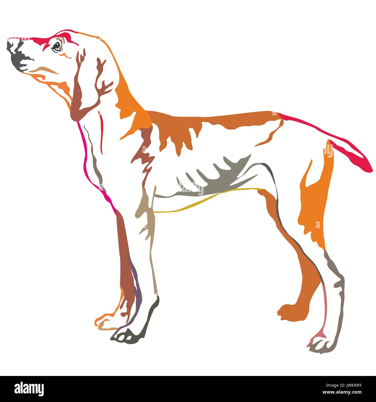 Clipart De Perro Pointer