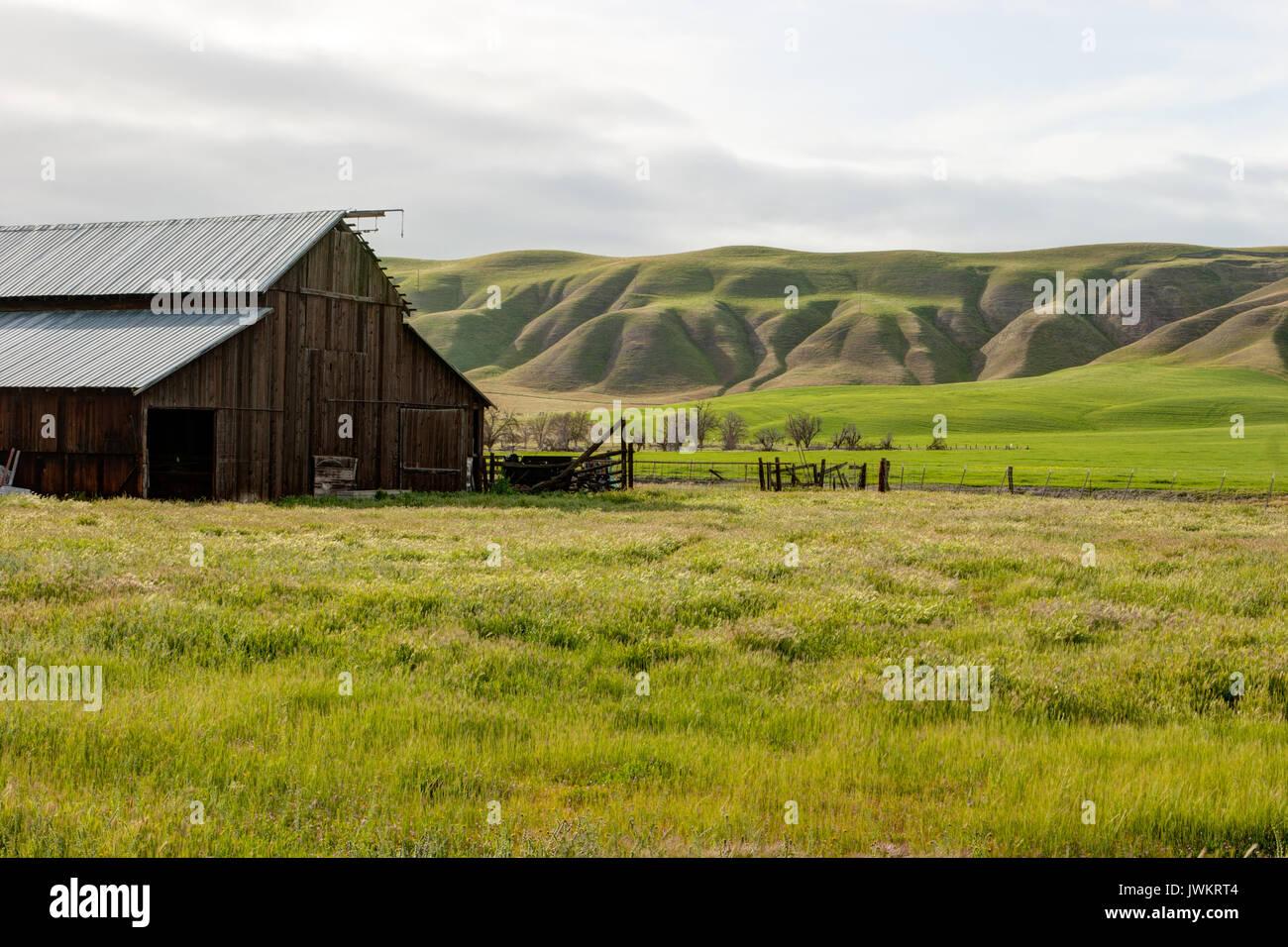 Pastoral setting hi-res stock photography and images - Alamy