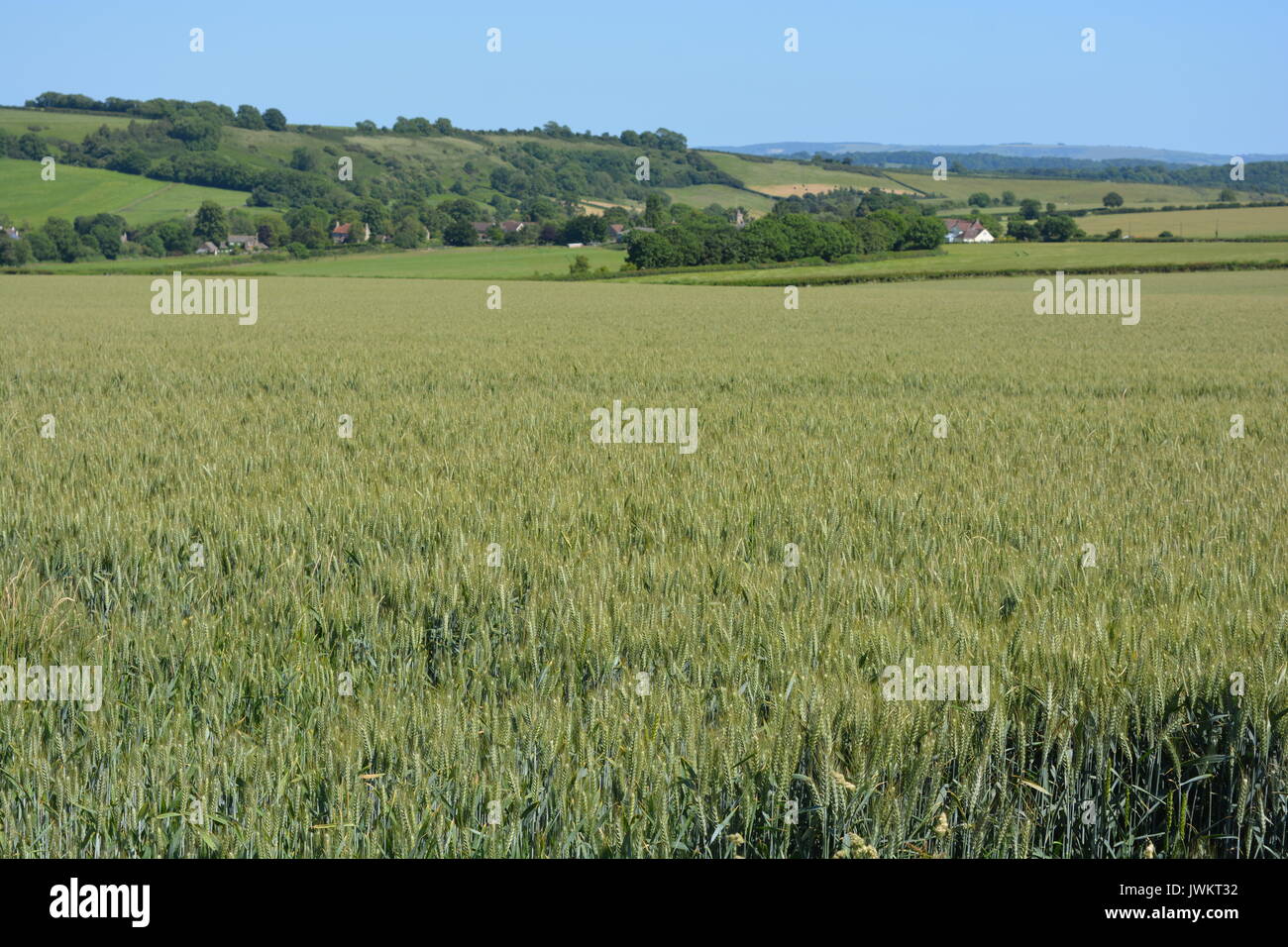 Summer english countryside hi-res stock photography and images - Alamy