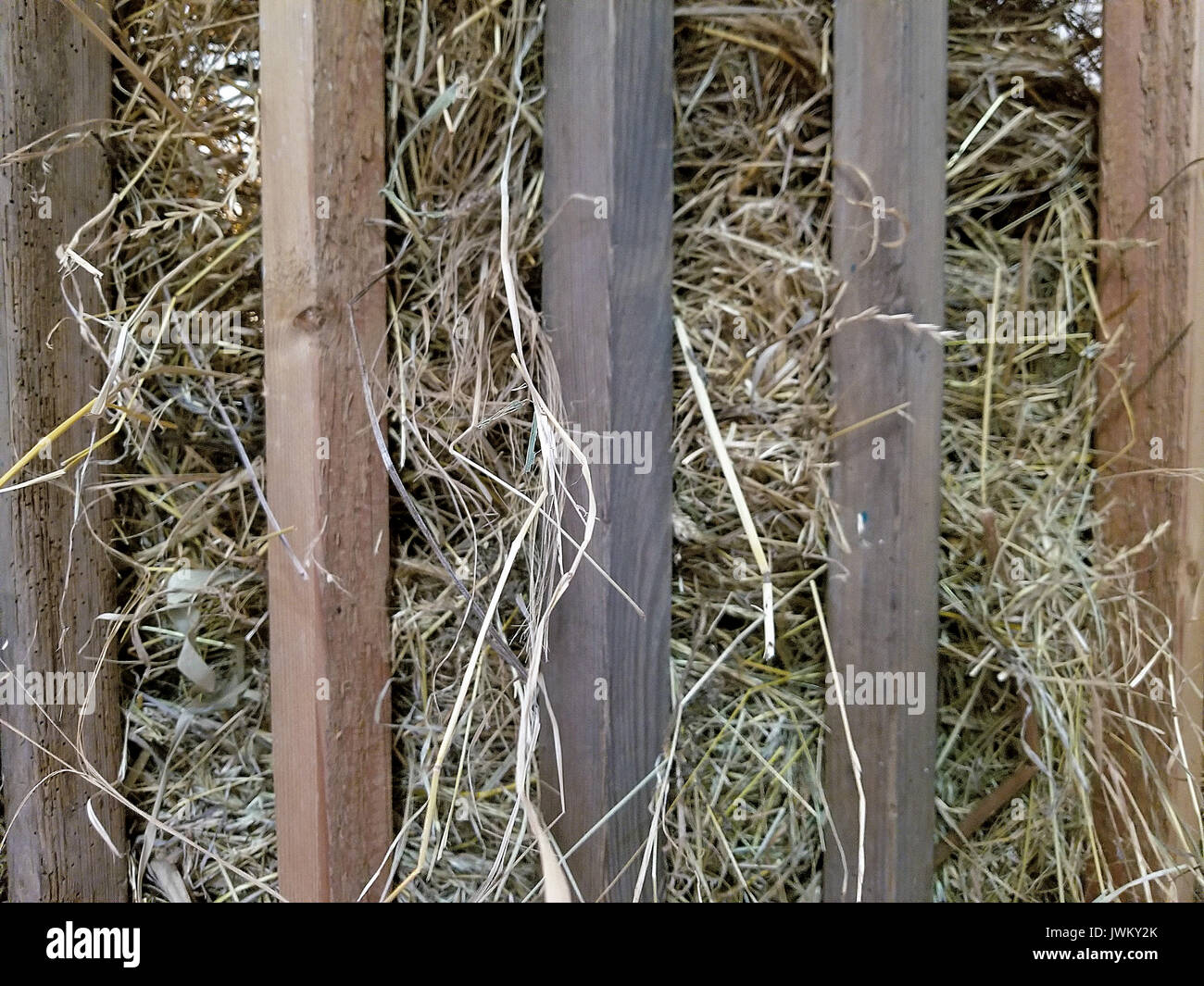 Wooden cage hi-res stock photography and images - Alamy