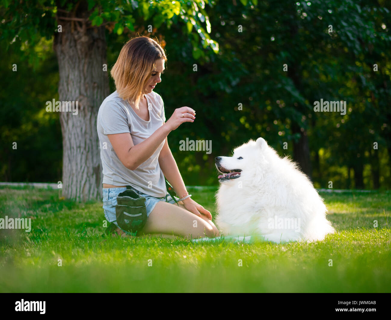 An adult woman with red hair plays and strokes her dog of the Samoyed ...