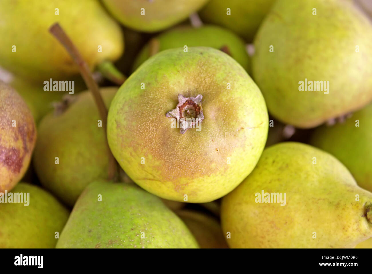 Pears texture background Stock Photo - Alamy