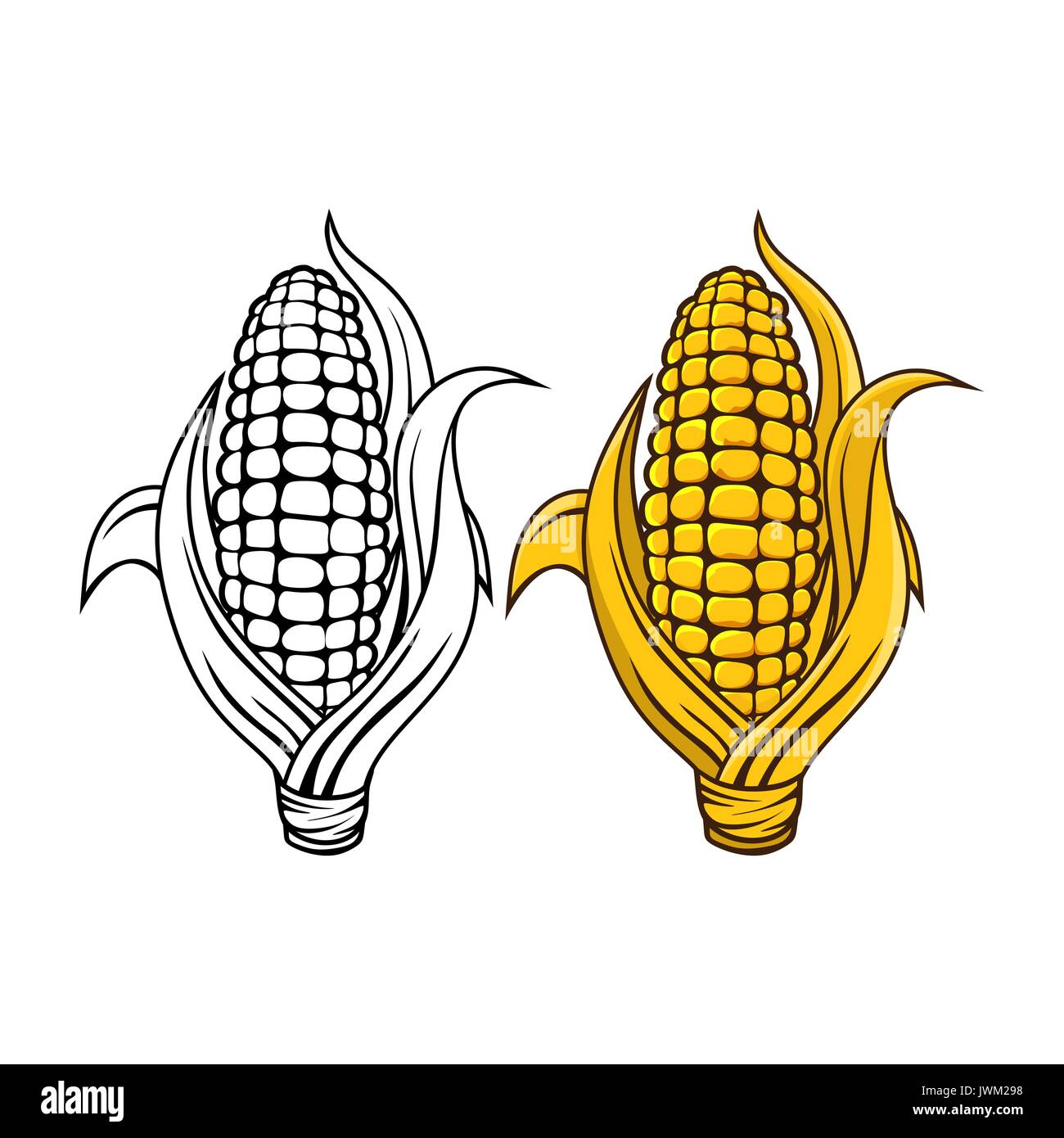 Indian corn vector vectors hi-res stock photography and images - Alamy