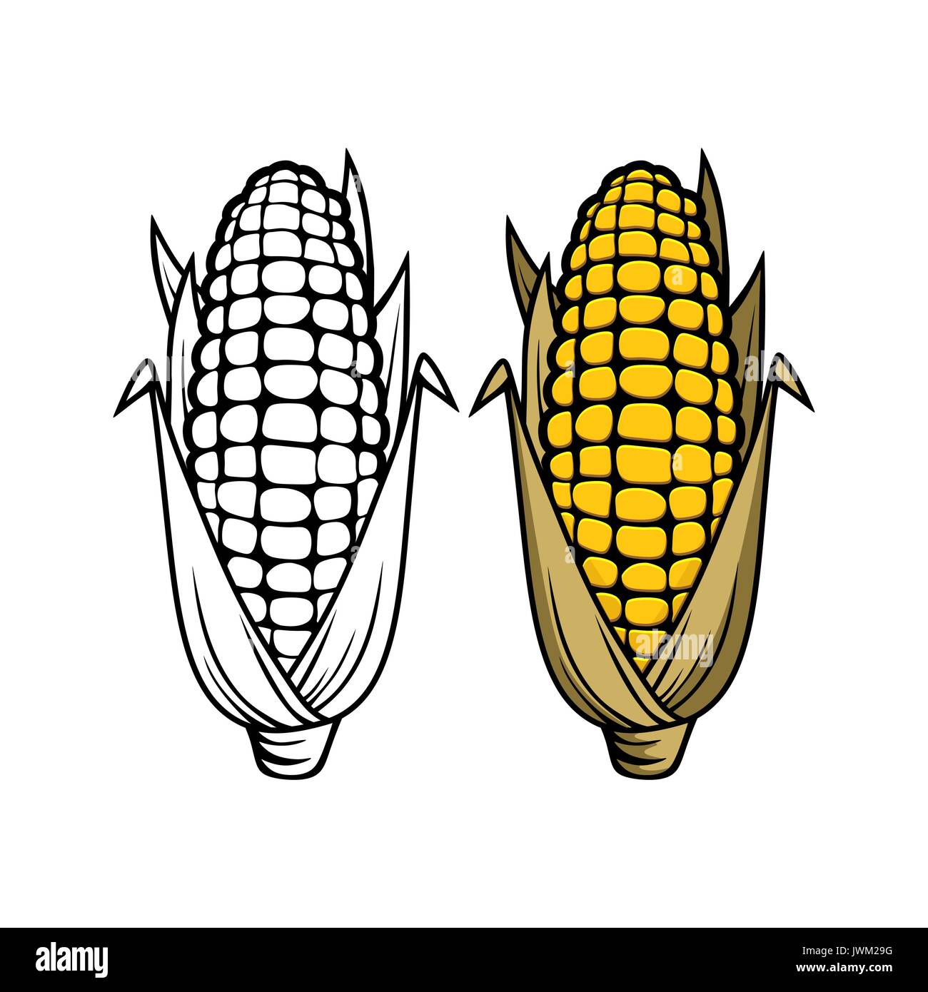 Indian corn vector vectors hi-res stock photography and images - Alamy