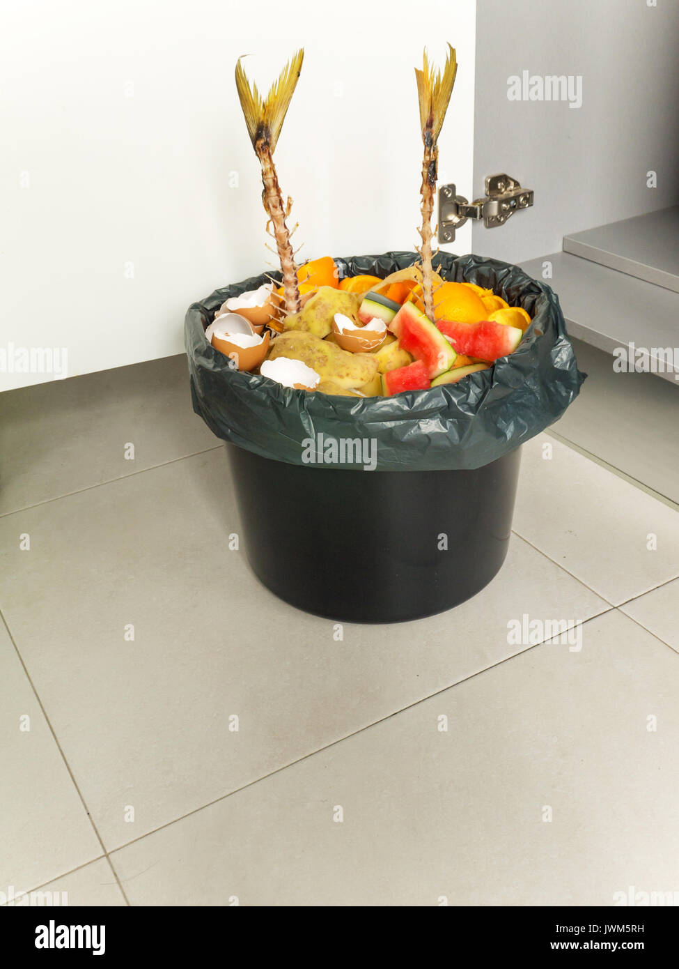 Organic waste garbage can hi-res stock photography and images - Alamy