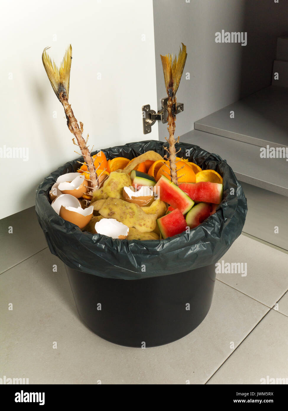 Separate waste collection. Organic biodegradable garbage in the black ...