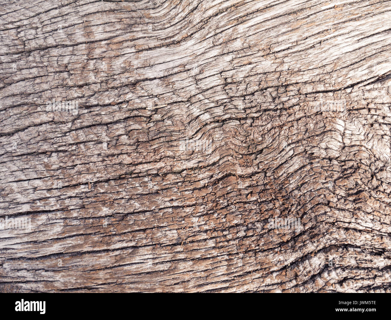 Old dry oak wood board texture background Stock Photo - Alamy