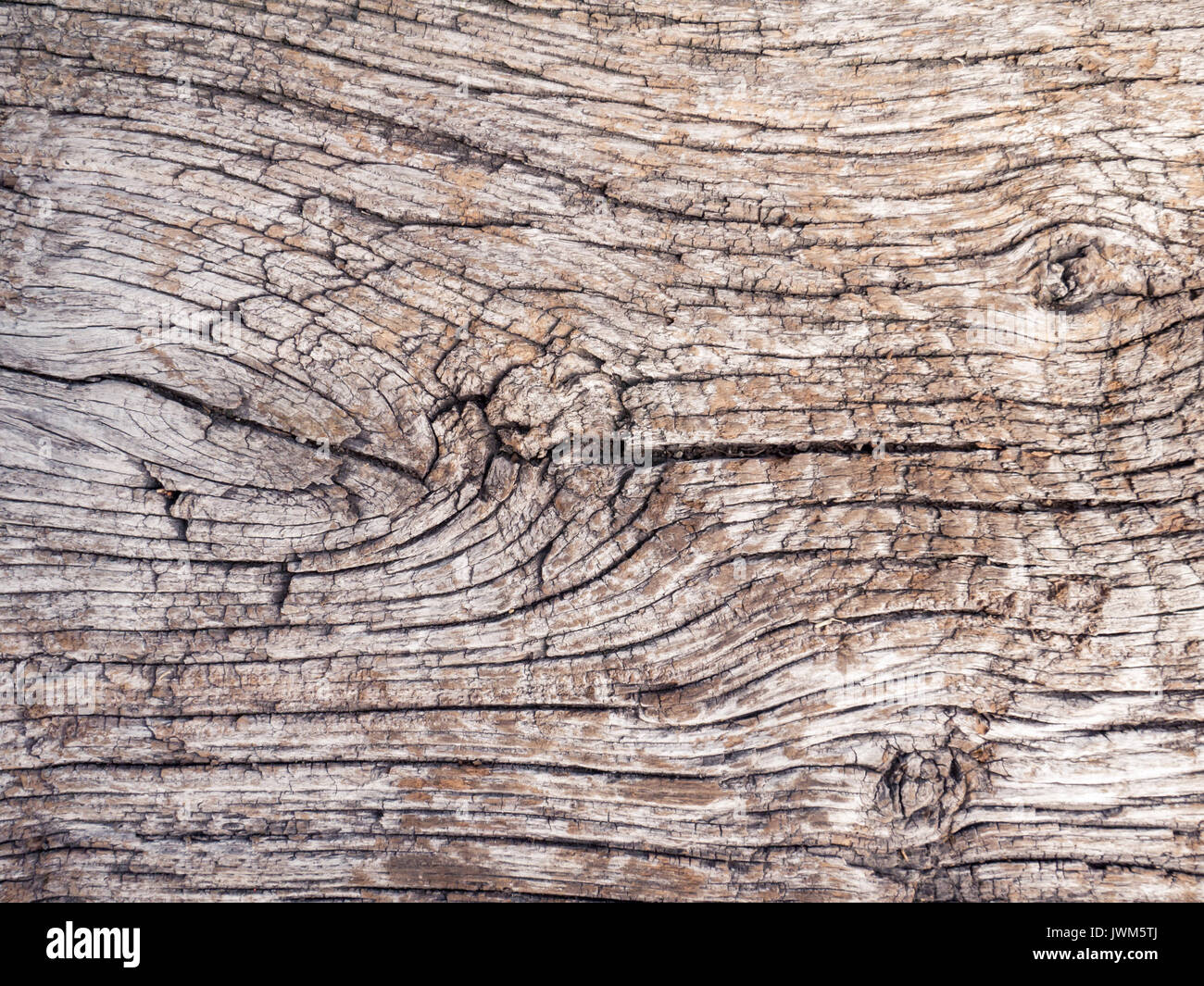 Old dry natural oak wood rustic background Stock Photo - Alamy
