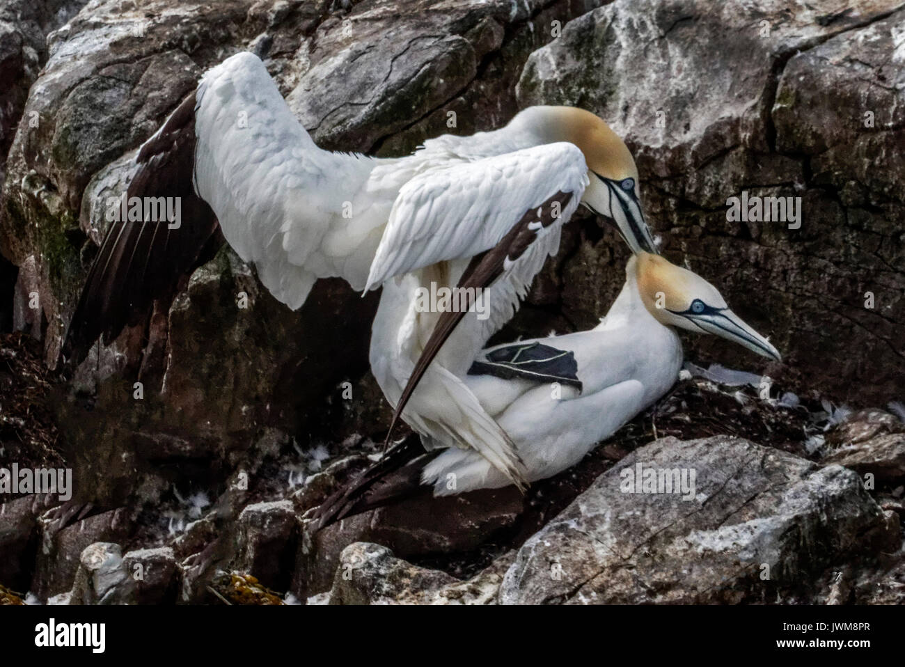 Ecological activity hi-res stock photography and images - Alamy