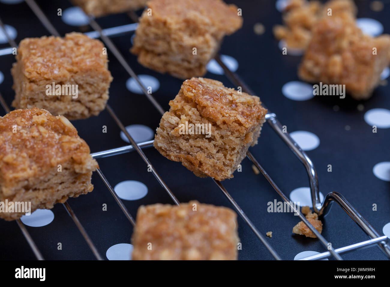 Square golden brown bite sized flapjacks cooling on a baking rack Stock ...