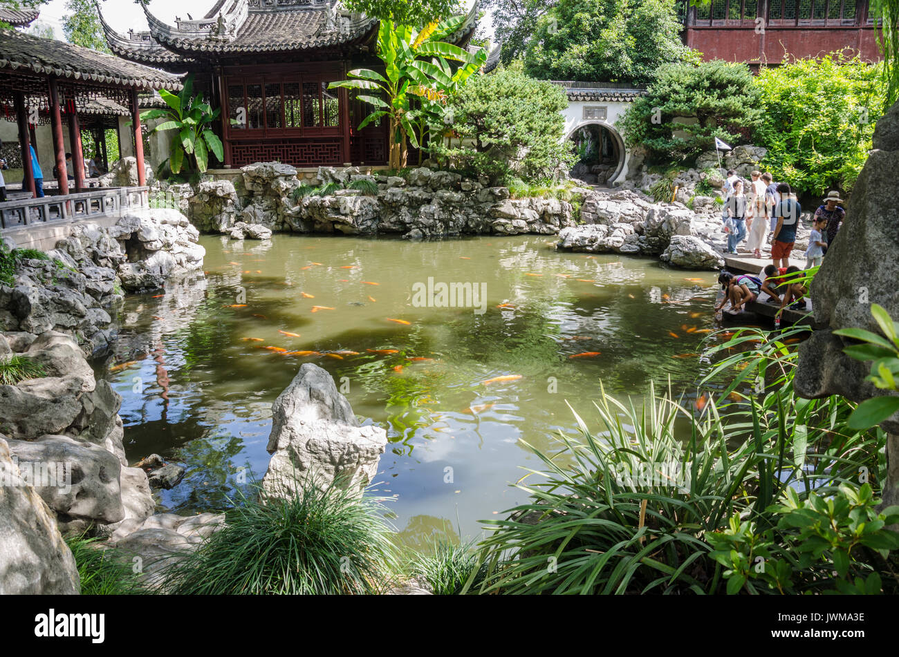 Child carp hi-res stock photography and images - Alamy