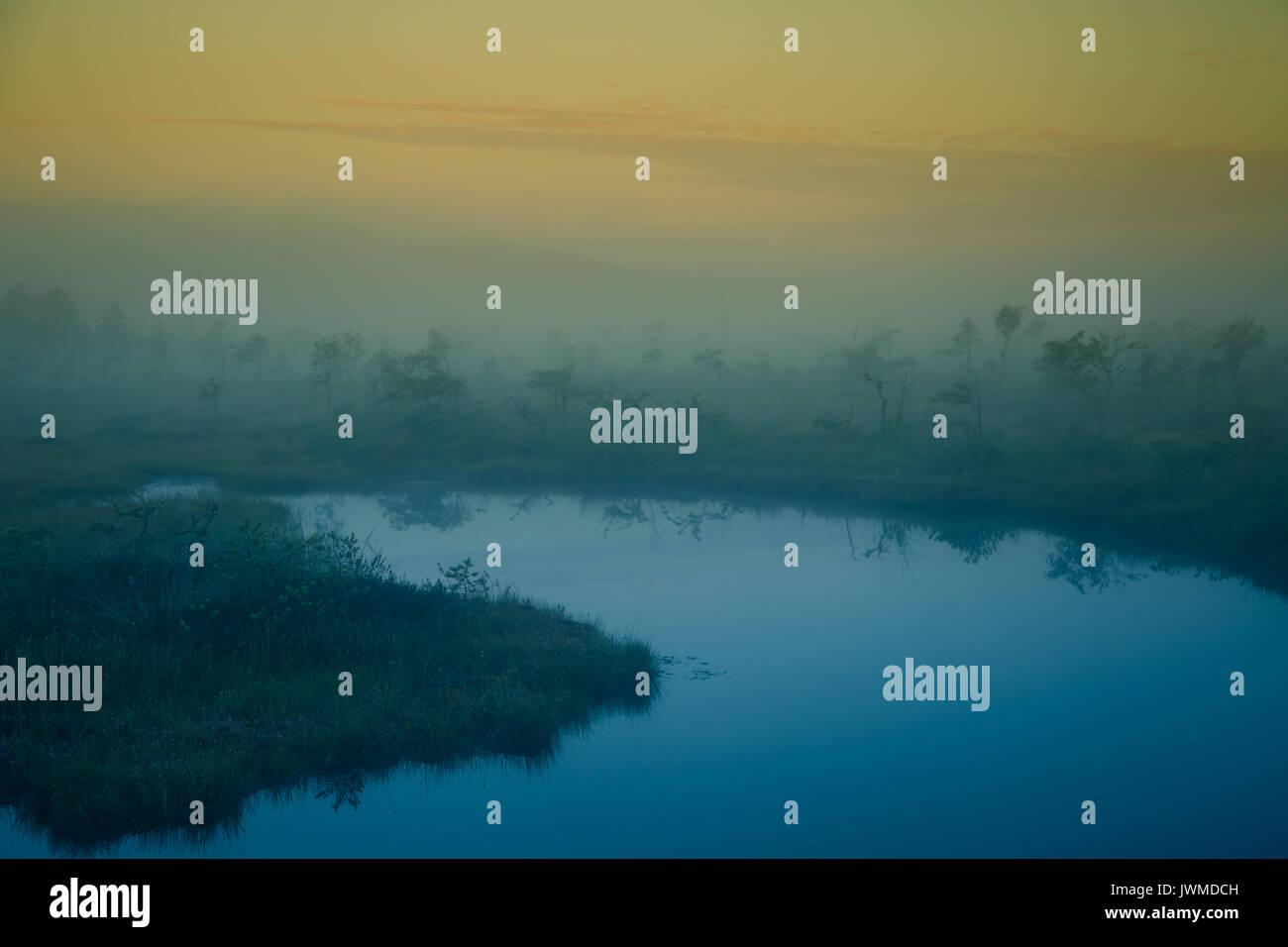 A dreamy swamp landscape before the sunrise. Colorful, misty look ...