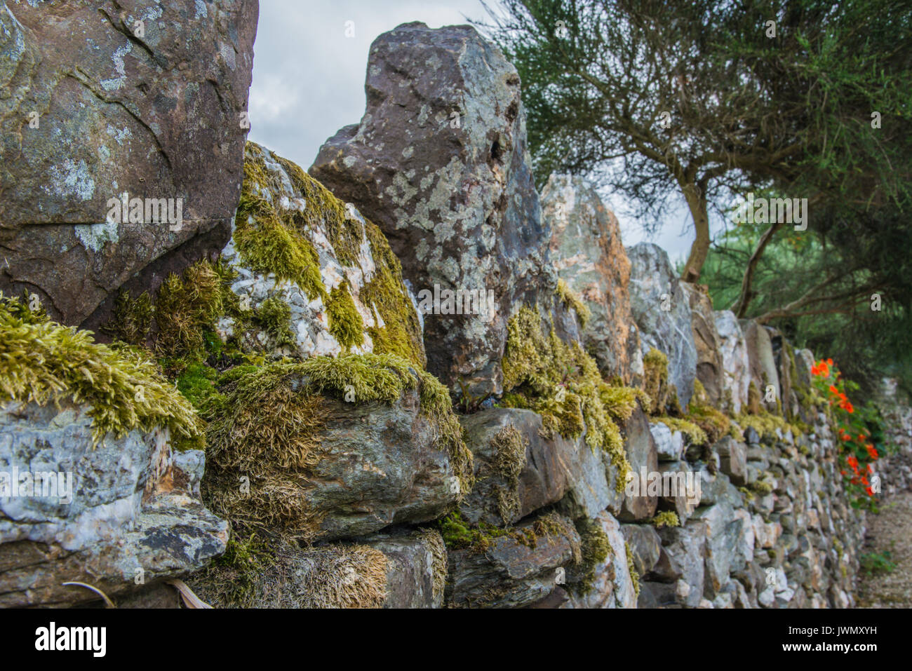 Irish Stone Wall with Moss Stock Photo - Alamy