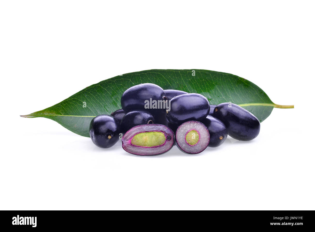 jambolan plum or Java plum isolated on white background Stock Photo - Alamy
