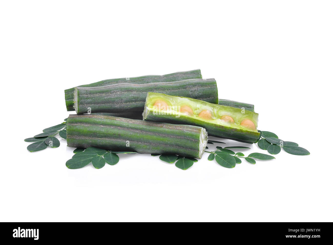 pod of moringa (drumstick tree) with leaves isolated on white ...