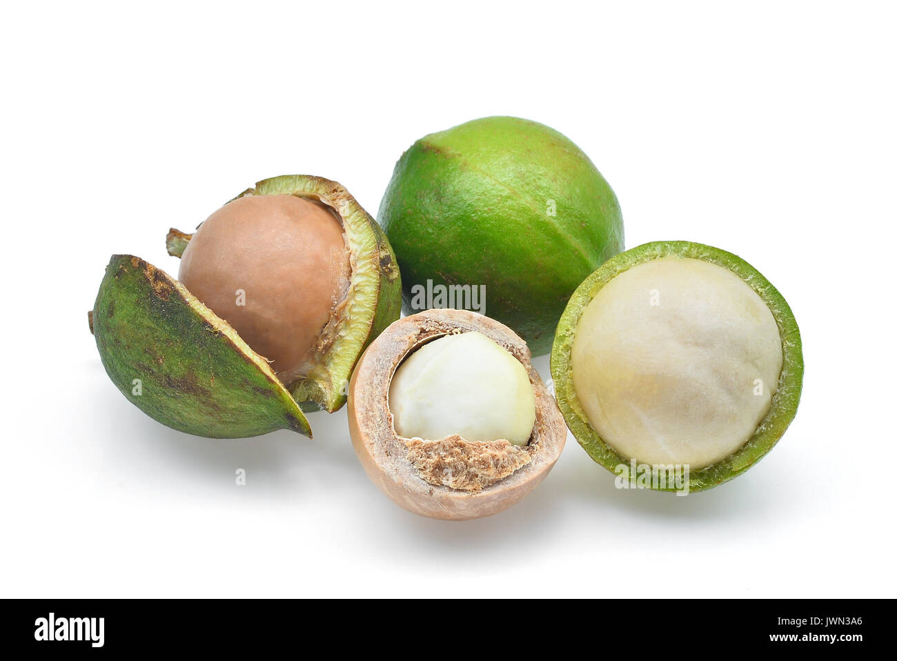 macadamia isolated on white background Stock Photo - Alamy