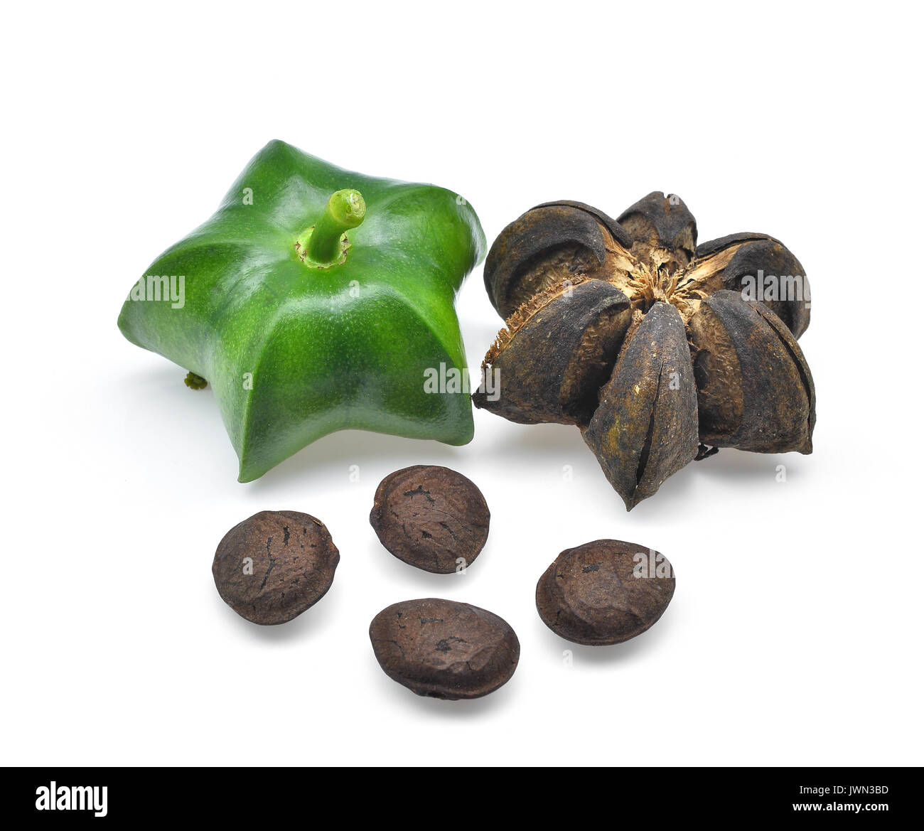 fresh sacha inchi with leaves isolated on white background Stock Photo ...