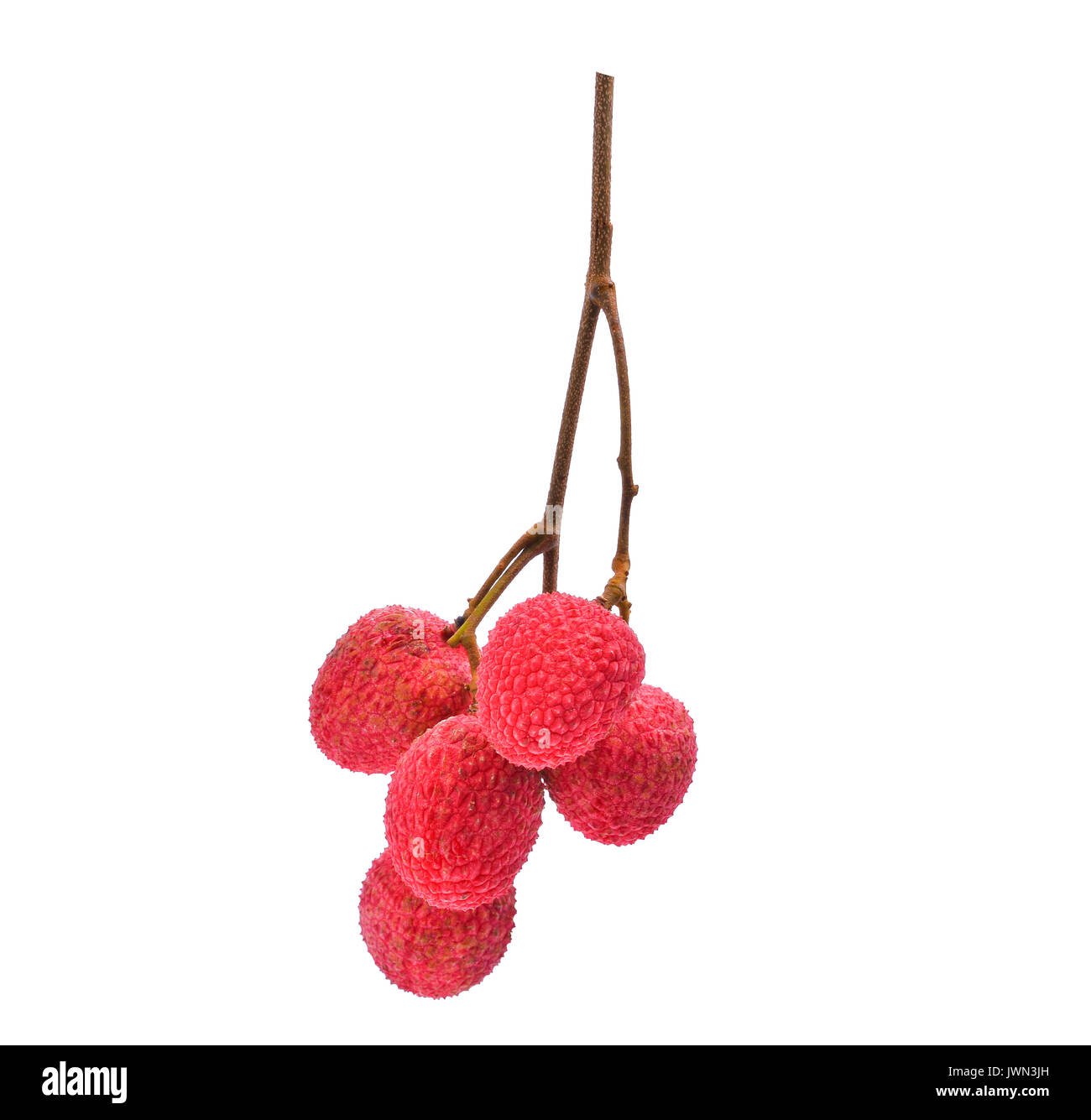 lychee isolated on white background Stock Photo - Alamy