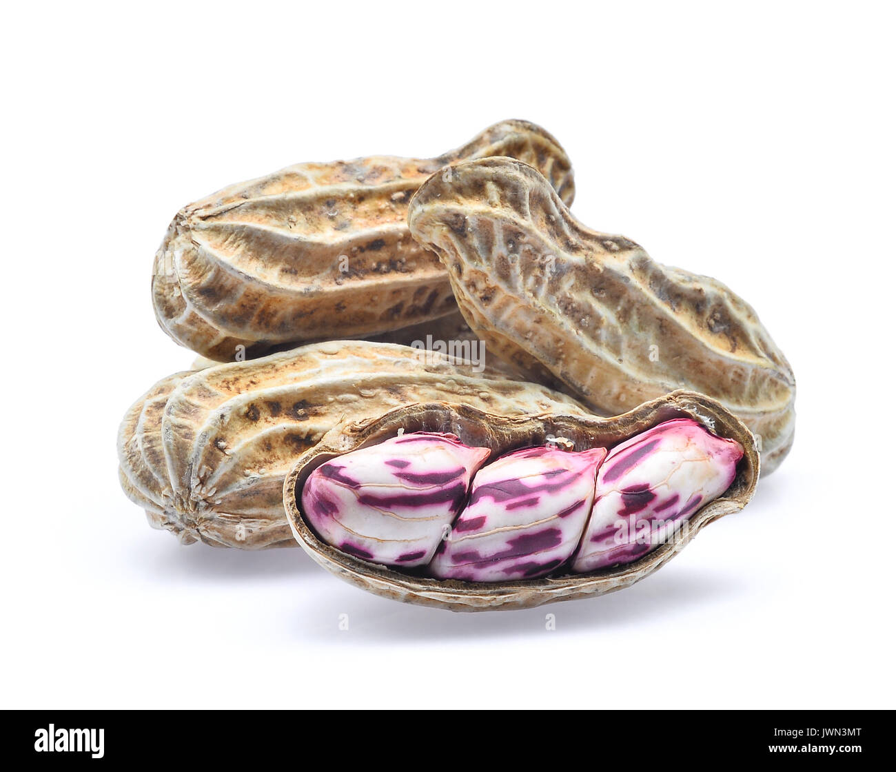 boiled peanut isolated on white background Stock Photo - Alamy