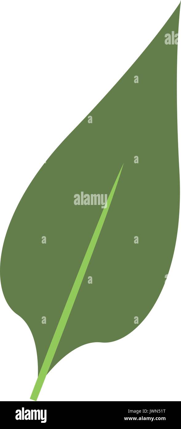 leave plant and nature element ecology vector illustration Stock Vector ...