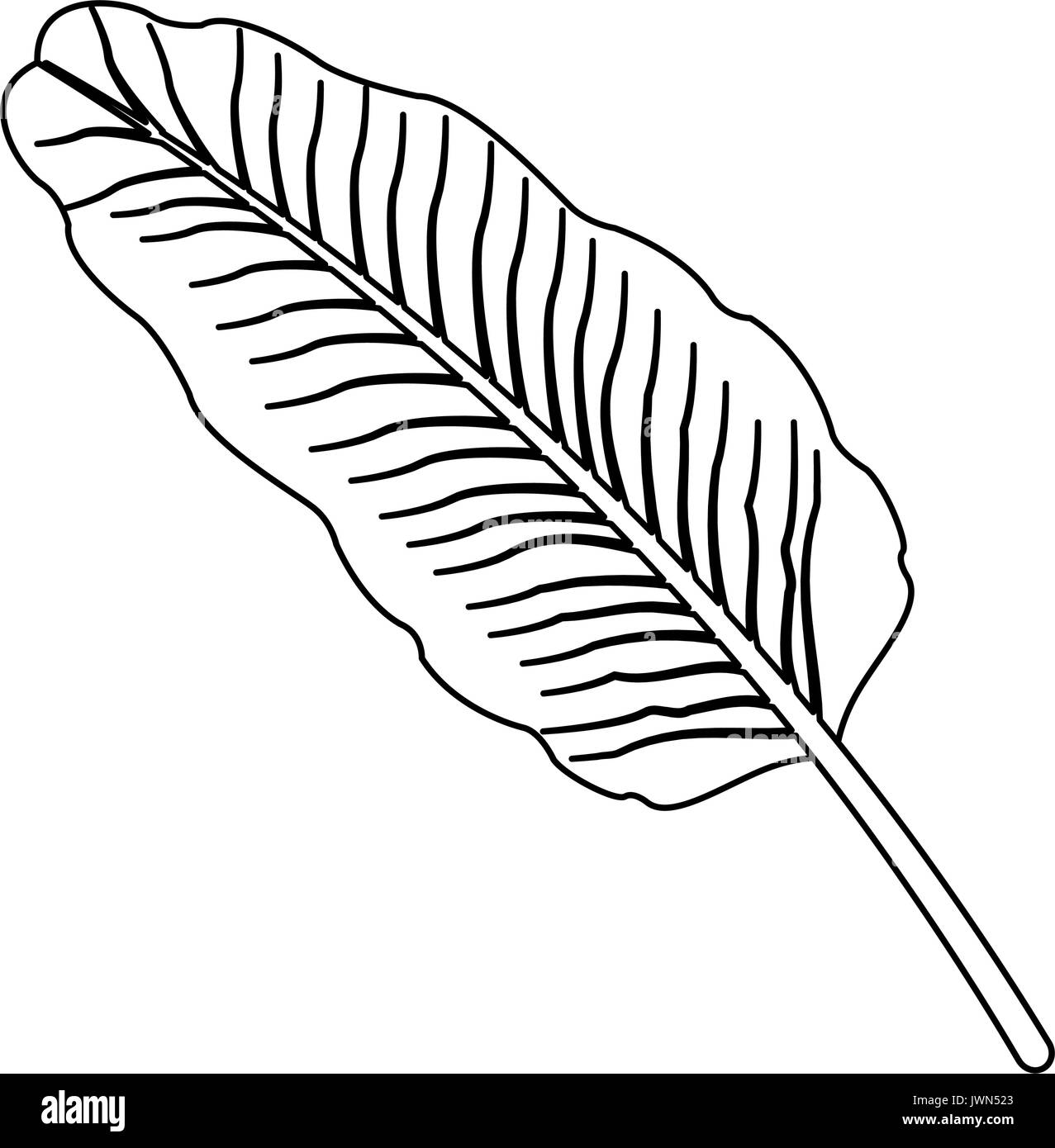 exotic tropical leave botanical flora icon vector illustration Stock ...