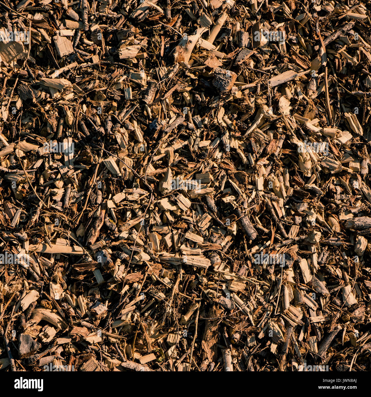 surface of wooden pieces of pine tree Stock Photo - Alamy