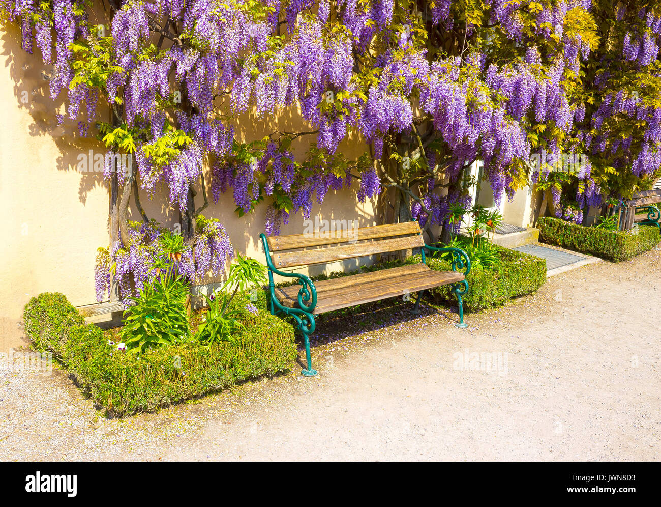 The bench surrounded by spring flowers Stock Photo - Alamy