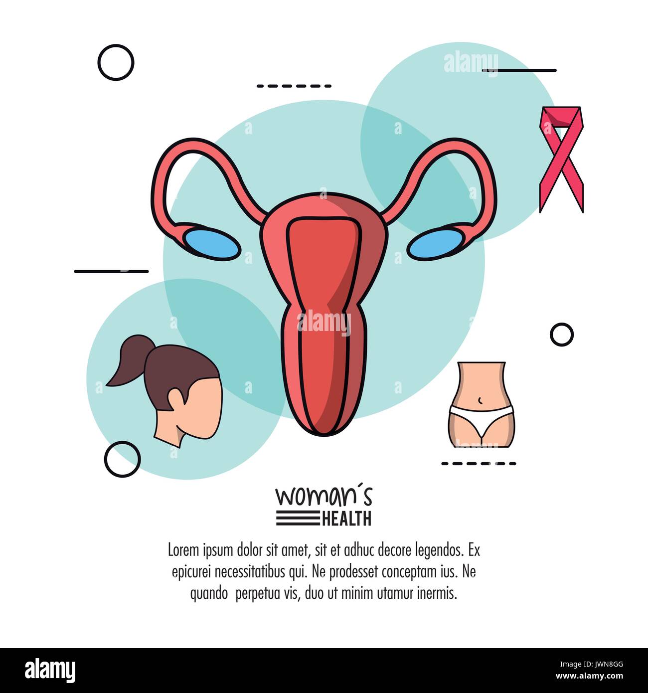 Female Reproductive Organ High Resolution Stock Photography and Images ...