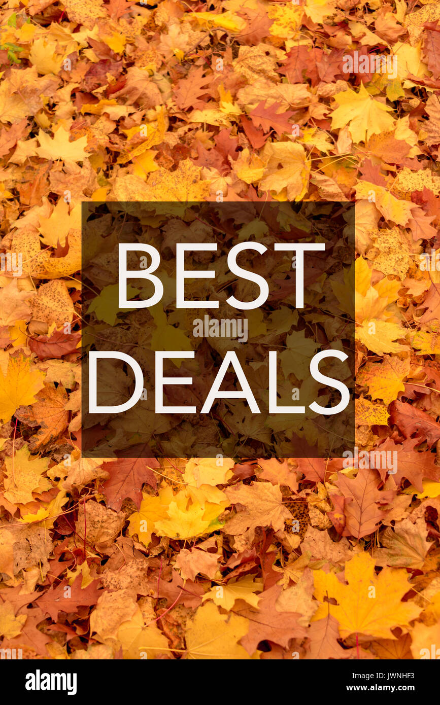 Best Deals sign with white text on black square, background with autumn ...