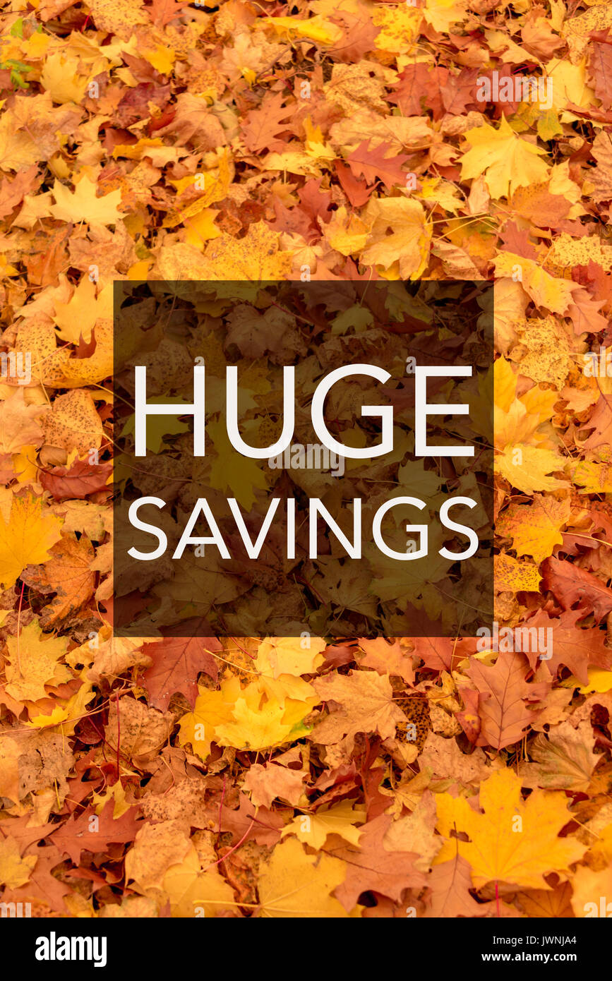 Huge Savings sign with white text on black square, background with ...