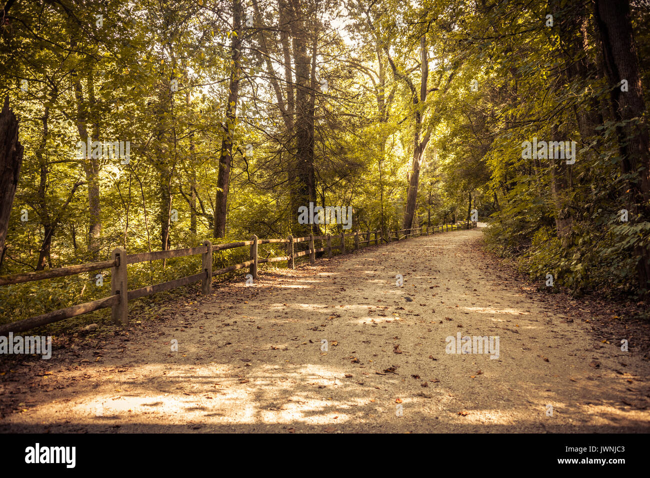 First person view of dirt path in forest in early autumn. Fence along ...
