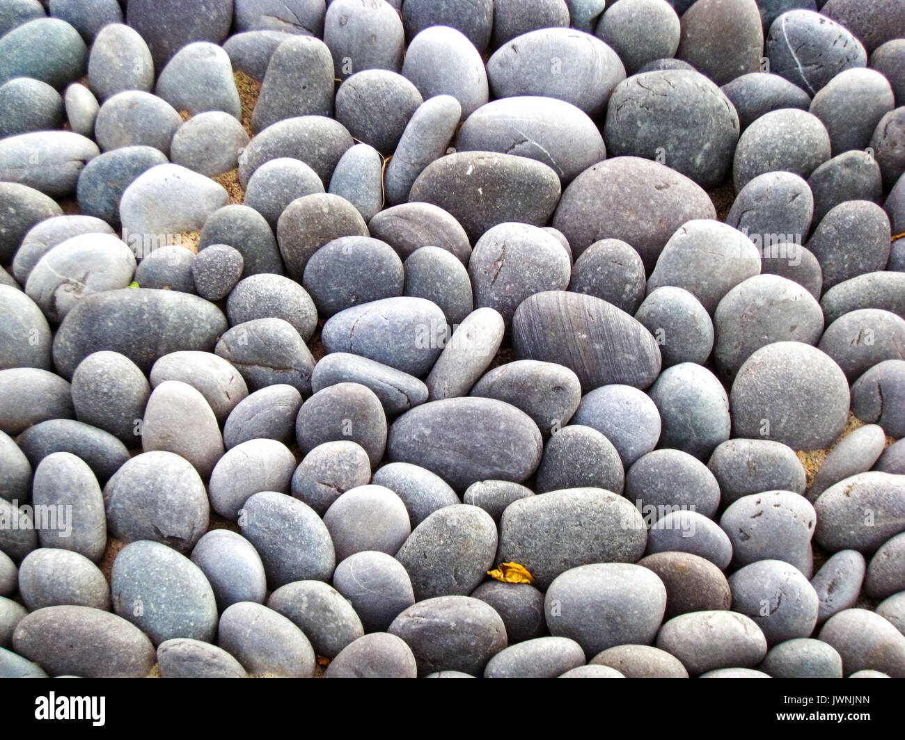 Smooth rounded white water worn pebbles or stones used in landscaping ...