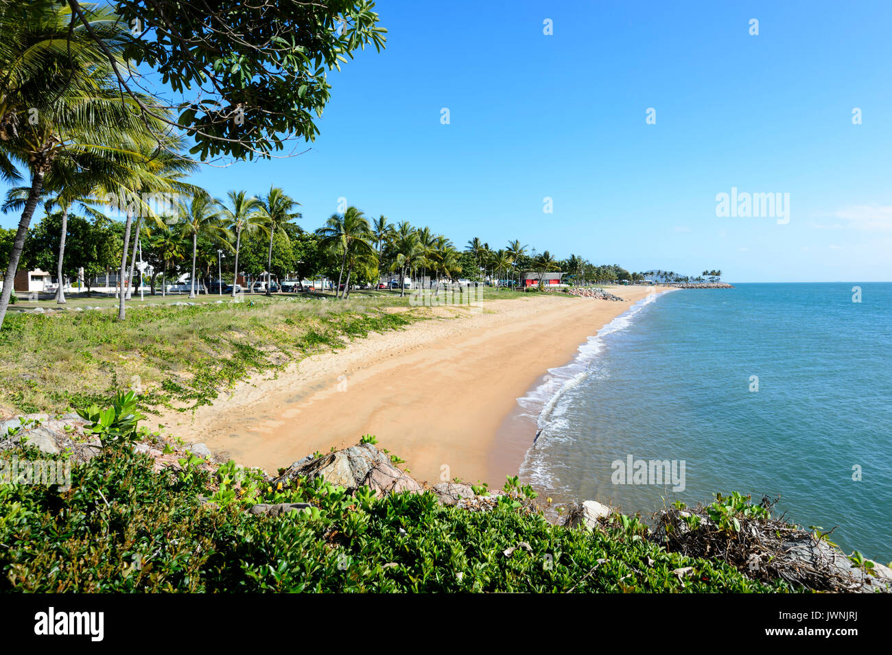 Scenic tropical sandy beach with palm trees, Townsville, Queensland ...