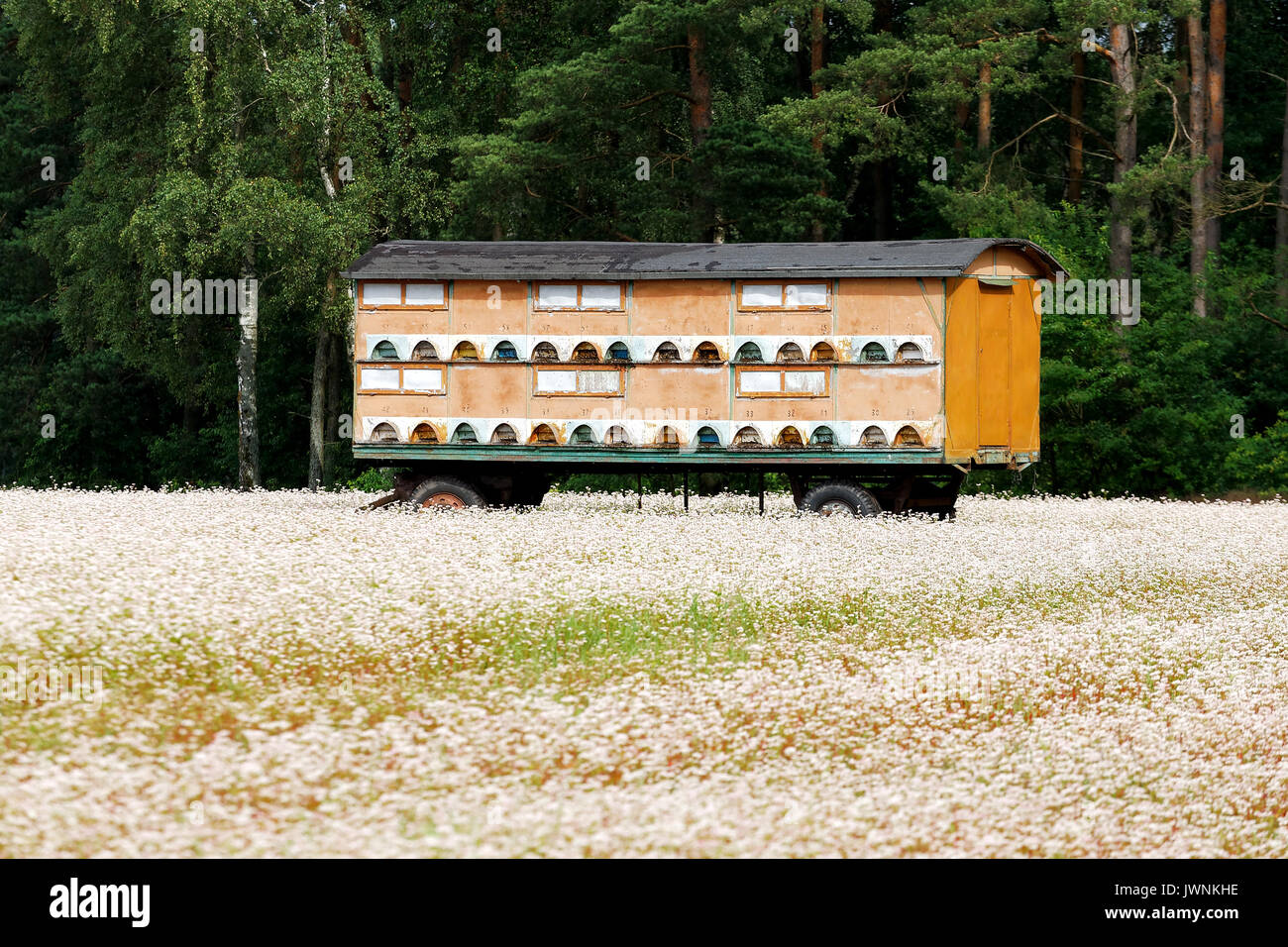 Colorful mobile transport car for beehive honey Stock Photo - Alamy