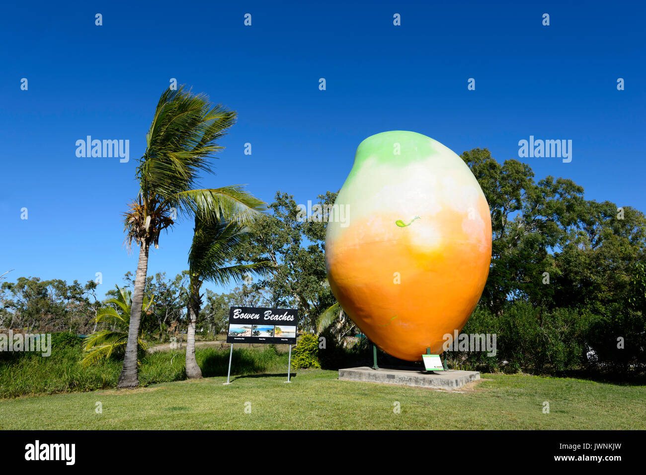 The Big Mango, Bowen, Queensland, QLD, Australia Stock Photo - Alamy