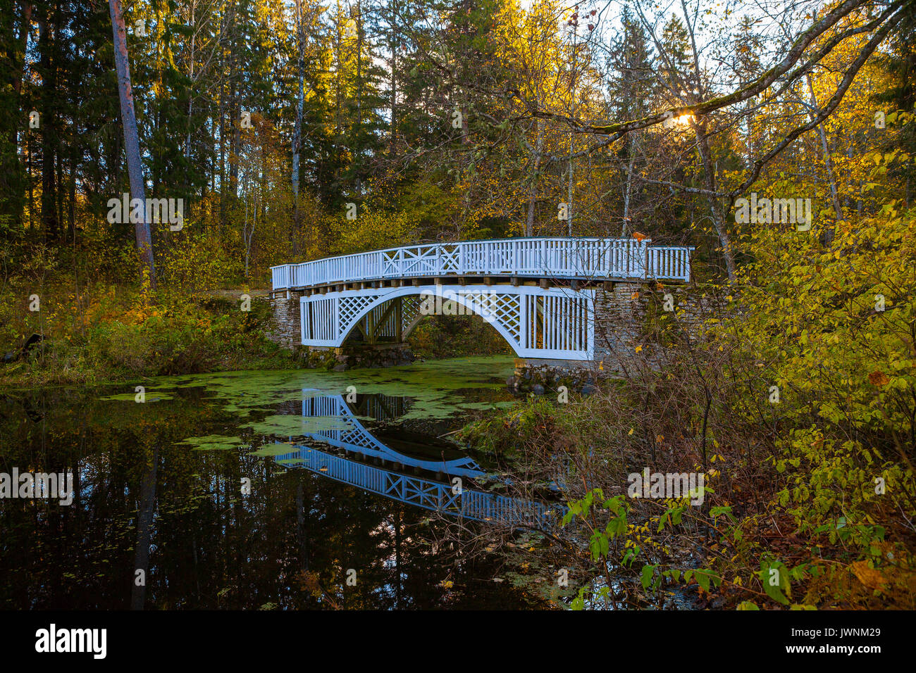 White wooden bridge over small river. Trees with autumn leaves above ...