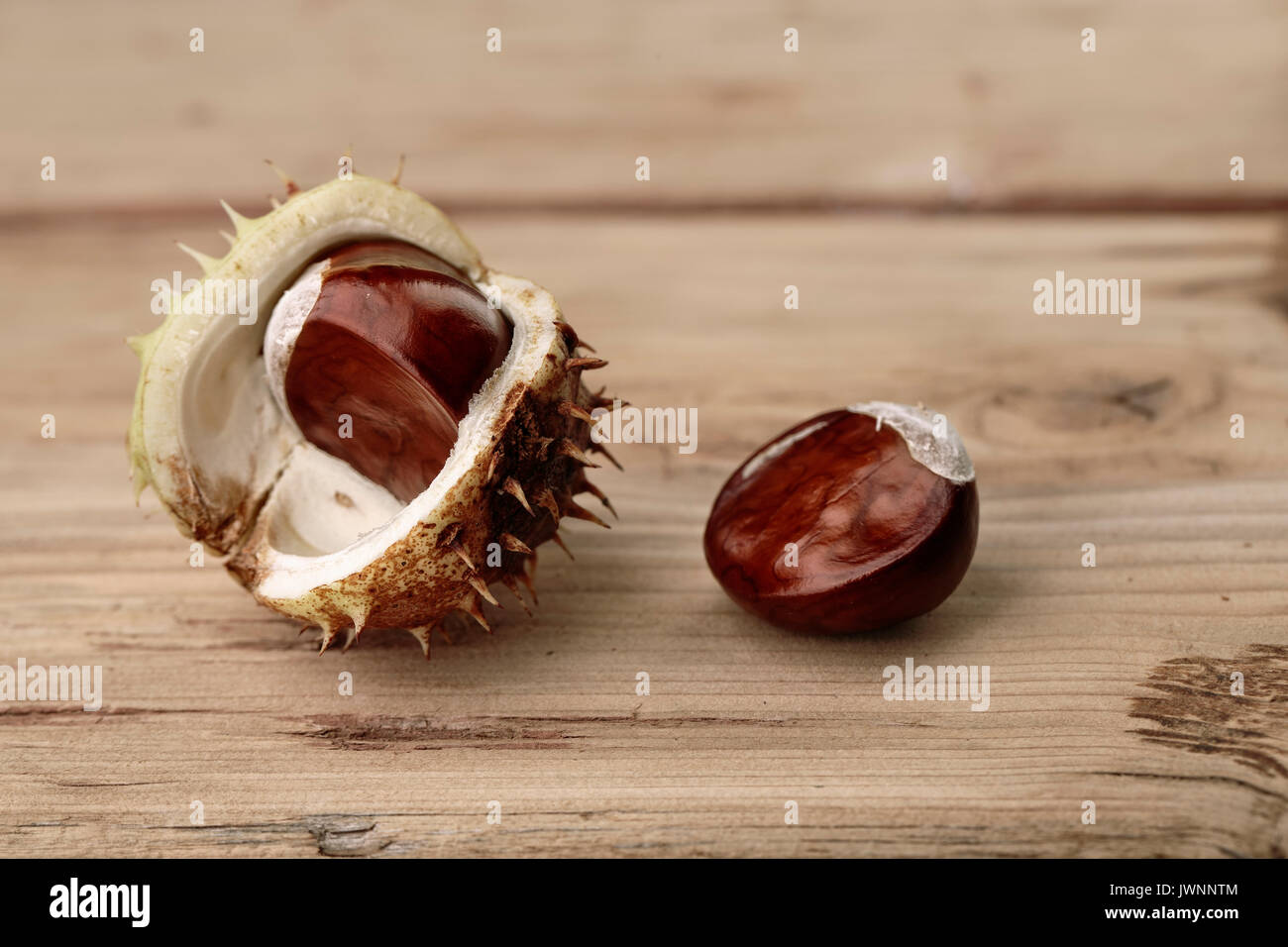 Buckeye nuts hi-res stock photography and images - Alamy