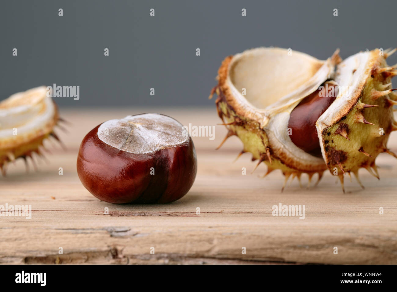 Spikey capsules hi-res stock photography and images - Alamy