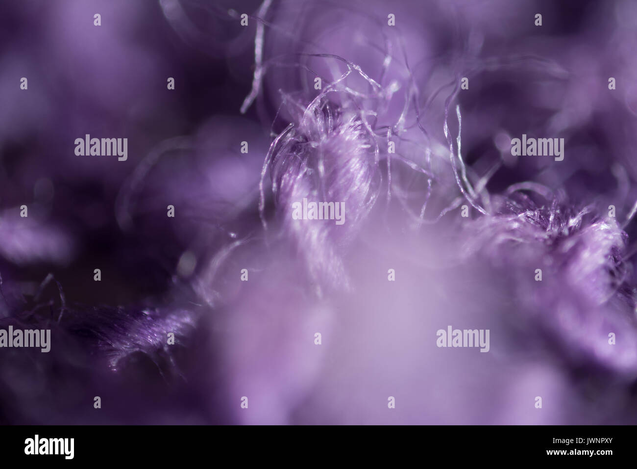 Micro texture hi-res stock photography and images - Alamy