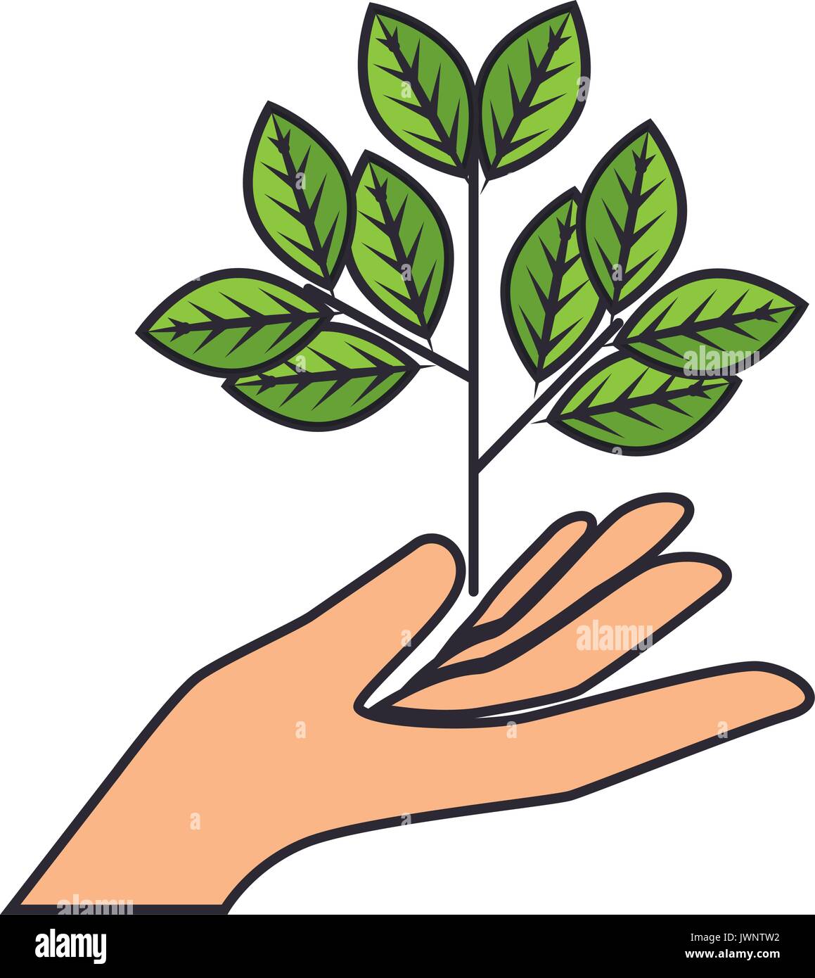 hand holding a plant icon over white background vector illustration ...