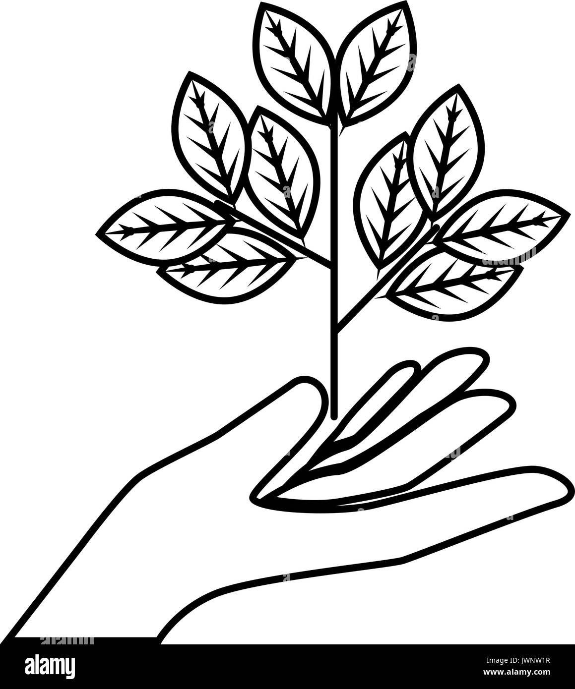 hand holding a plant icon over white background vector illustration ...