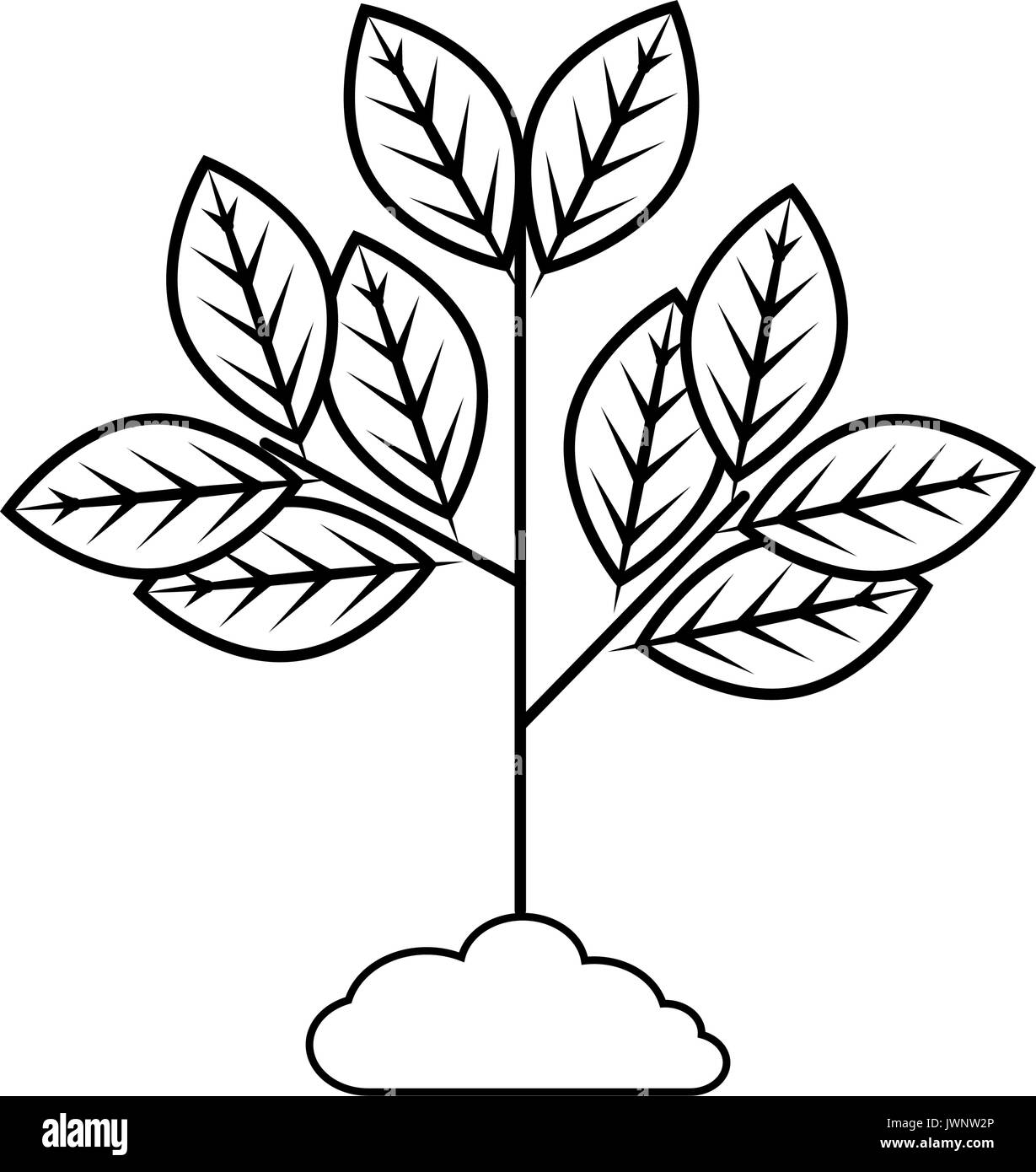 plant icon over white background vector illustration Stock Vector Image ...